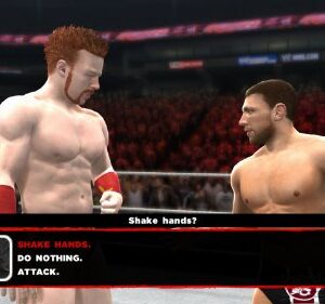 WWE '13