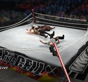 WWE '13