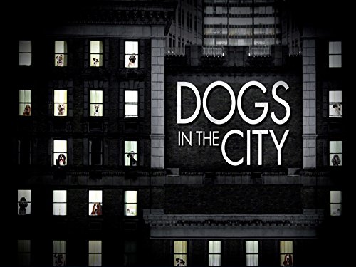 Dogs In The City Season 1