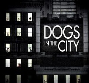 Dogs In The City Season 1