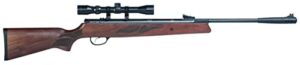 hatsan mod 95 spring combo spring piston air rifle, .22 caliber