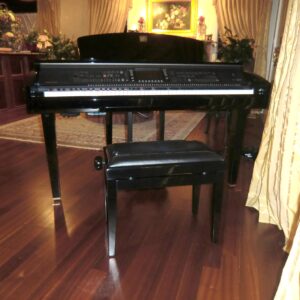 ProRockGear AP Deluxe Adjustable Height Piano Bench Black