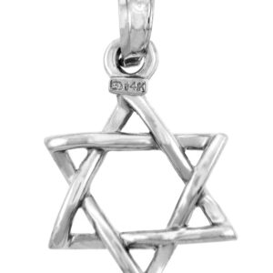 14k White Gold Jewish Star of David Pendant