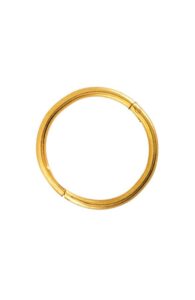 gold-tone 925 sterling silver nose ring hinged hoop 3/8" 9.5mm 18g