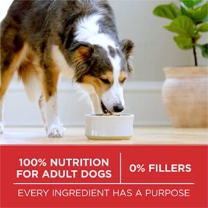 Purina ONE Small Bites Beef and Rice Formula Small High Protein Dry Dog Food Natural with Added Vitamins, Minerals and Nutrients - 31.1 lb. Bag