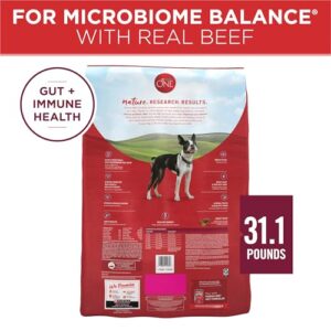 Purina ONE Small Bites Beef and Rice Formula Small High Protein Dry Dog Food Natural with Added Vitamins, Minerals and Nutrients - 31.1 lb. Bag