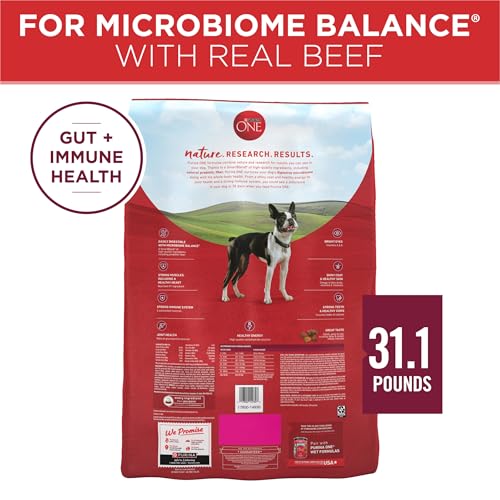 Purina ONE Small Bites Beef and Rice Formula Small High Protein Dry Dog Food Natural with Added Vitamins, Minerals and Nutrients - 31.1 lb. Bag