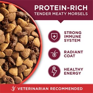 Purina ONE Small Bites Beef and Rice Formula Small High Protein Dry Dog Food Natural with Added Vitamins, Minerals and Nutrients - 31.1 lb. Bag