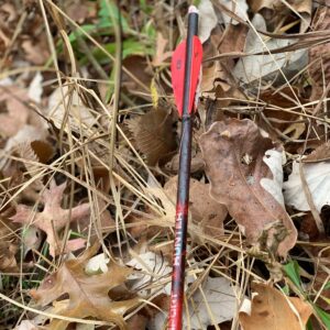 BloodSport Hunter Precise Durable Carbon Hunting Arrow for Crossbow - 22" Length, 300 Grains, 300 Spine.003 Straightness.300 I.D.344 O.D, 6 Pack Black