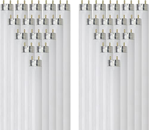 Sunlite 30195 T8 Linear Fluorescent Lamp, 32 Watts, 3050 Lumens, F32T8/SP841, 4100K Cool White, Medium G13 Bi Pin Base, High Performance Straight Tube, 30 Pack