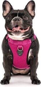 canada pooch everything no pull dog harness - easy walk harness for dogs with breathable mesh exterior, adjustable dog walking harness great for dogs pink/l