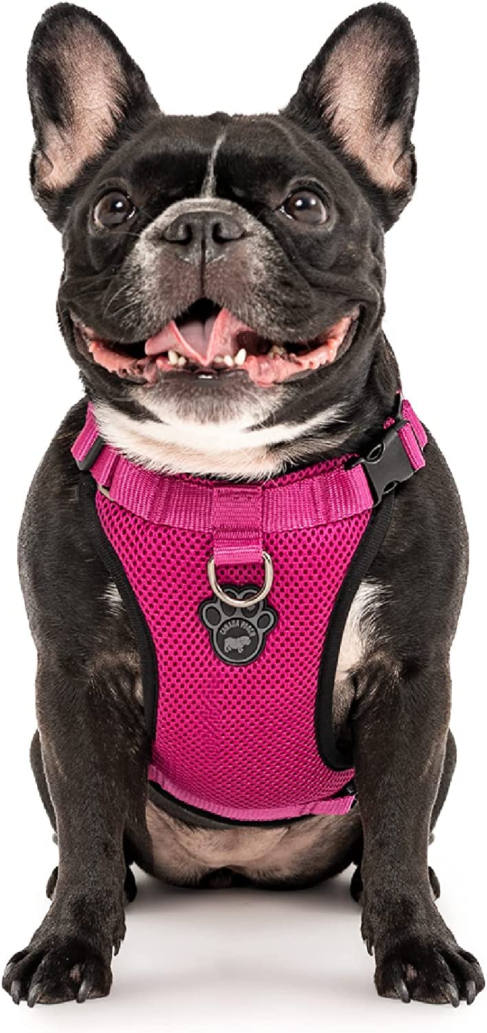 Canada Pooch Everything No Pull Dog Harness - Easy Walk Harness for Dogs with Breathable Mesh Exterior, Adjustable Dog Walking Harness Great for Dogs Pink/L