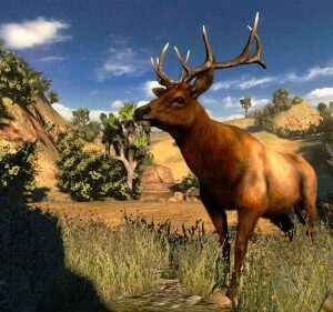 Cabela's Bundle [Download]