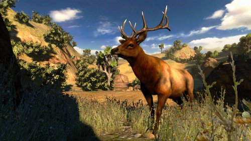 Cabela's Bundle [Download]