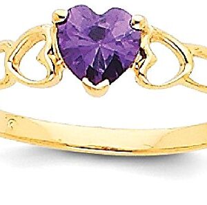 IceCarats 14K Yellow Gold Purple Amethyst Heart Ring Love Band February Birthstone Jewelry Size 7.00