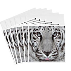 3drose white tiger with a little tonque - greeting cards, 6 x 6 inches, set of 6 (gc_62816_1)