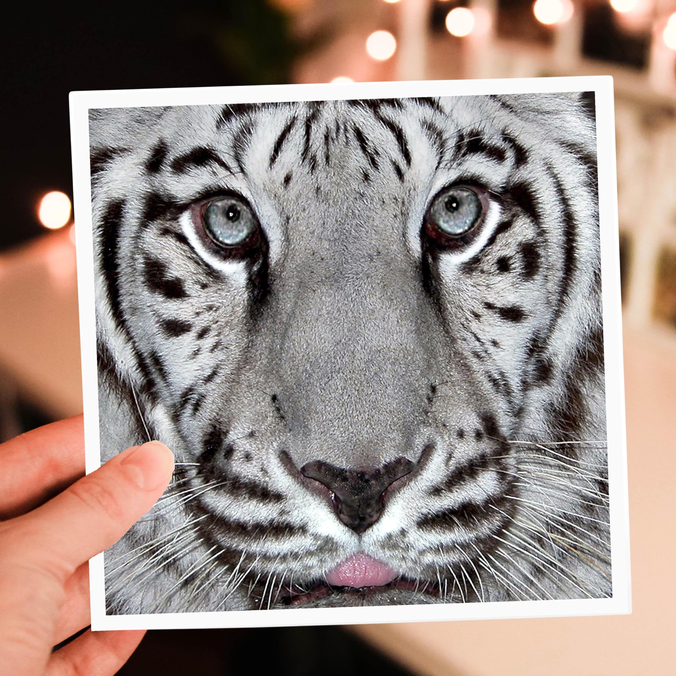 3dRose White Tiger with a Little Tonque - Greeting Cards, 6 x 6 inches, set of 6 (gc_62816_1)