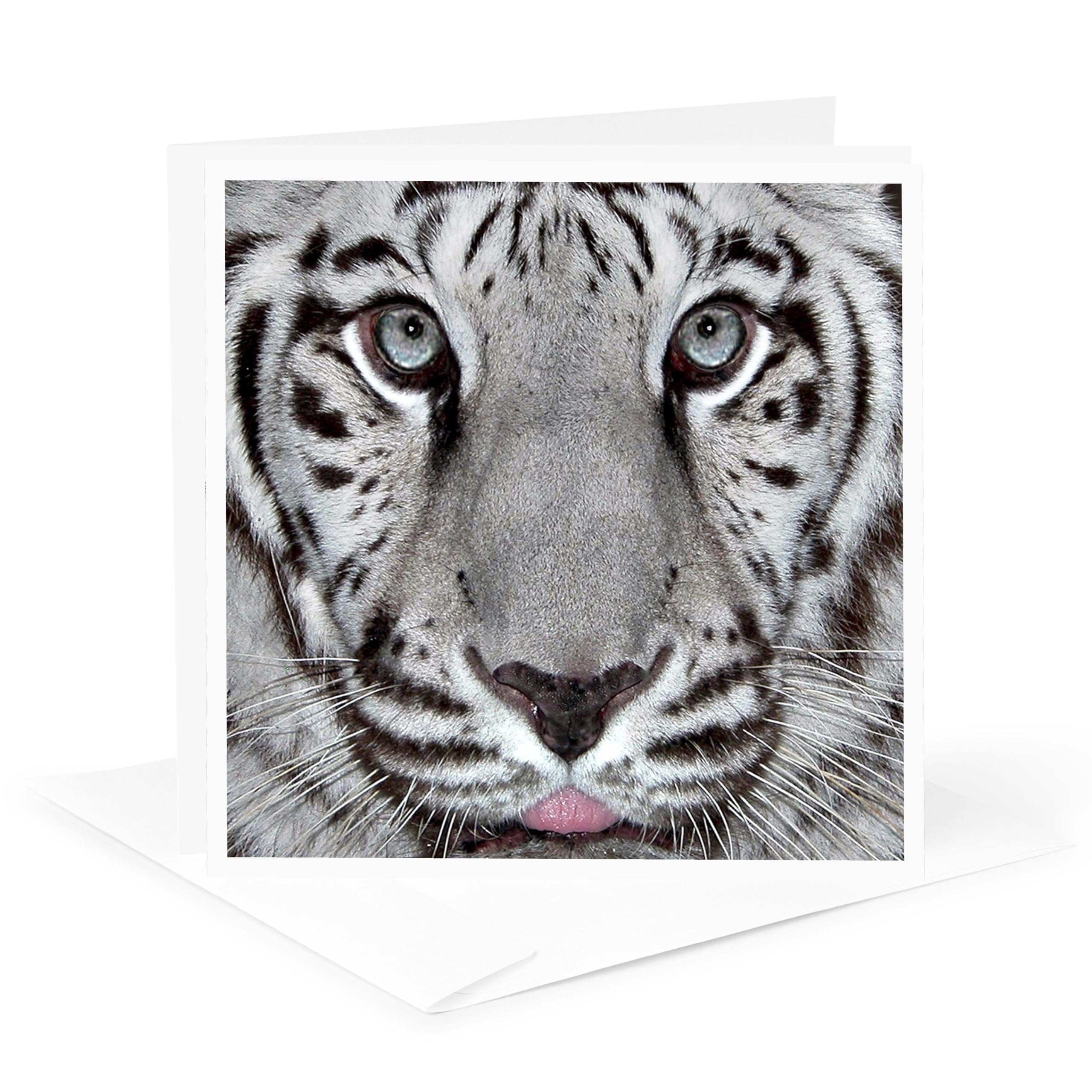 3dRose White Tiger with a Little Tonque - Greeting Cards, 6 x 6 inches, set of 6 (gc_62816_1)