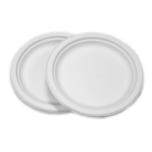 chinet classic paper dinnerware huh21227 500/pk