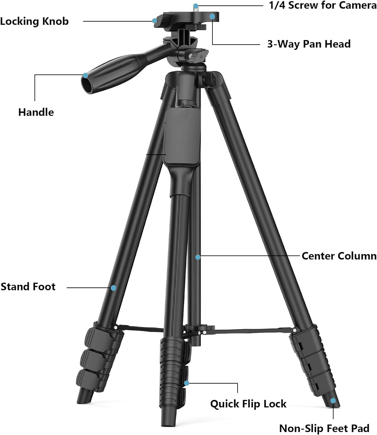 Lightweight 57-inch Camera Tripod for Canon EOS Rebel T3, T3i, T4i, T5, T5i T6i, T6s, T7, T7i, EOS 60D, EOS 70D, EOS 80D, EOS 5D Mark III, EOS 6D, EOS 7D Mark II, EOS-M, EOS-M3, EOS-M50 Cameras