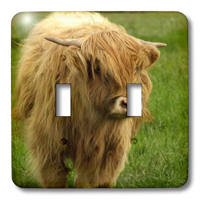 3dRose lsp_82799_2 Scotland, Highland Cow, Farm Animal Eu36 Cmi0128 Cindy Miller Hopkins Double Toggle Switch