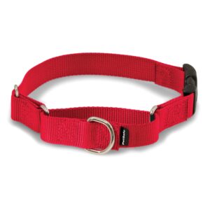 petsafe martingale dog collar with quick-snap buckle - medium, 1 inch, red