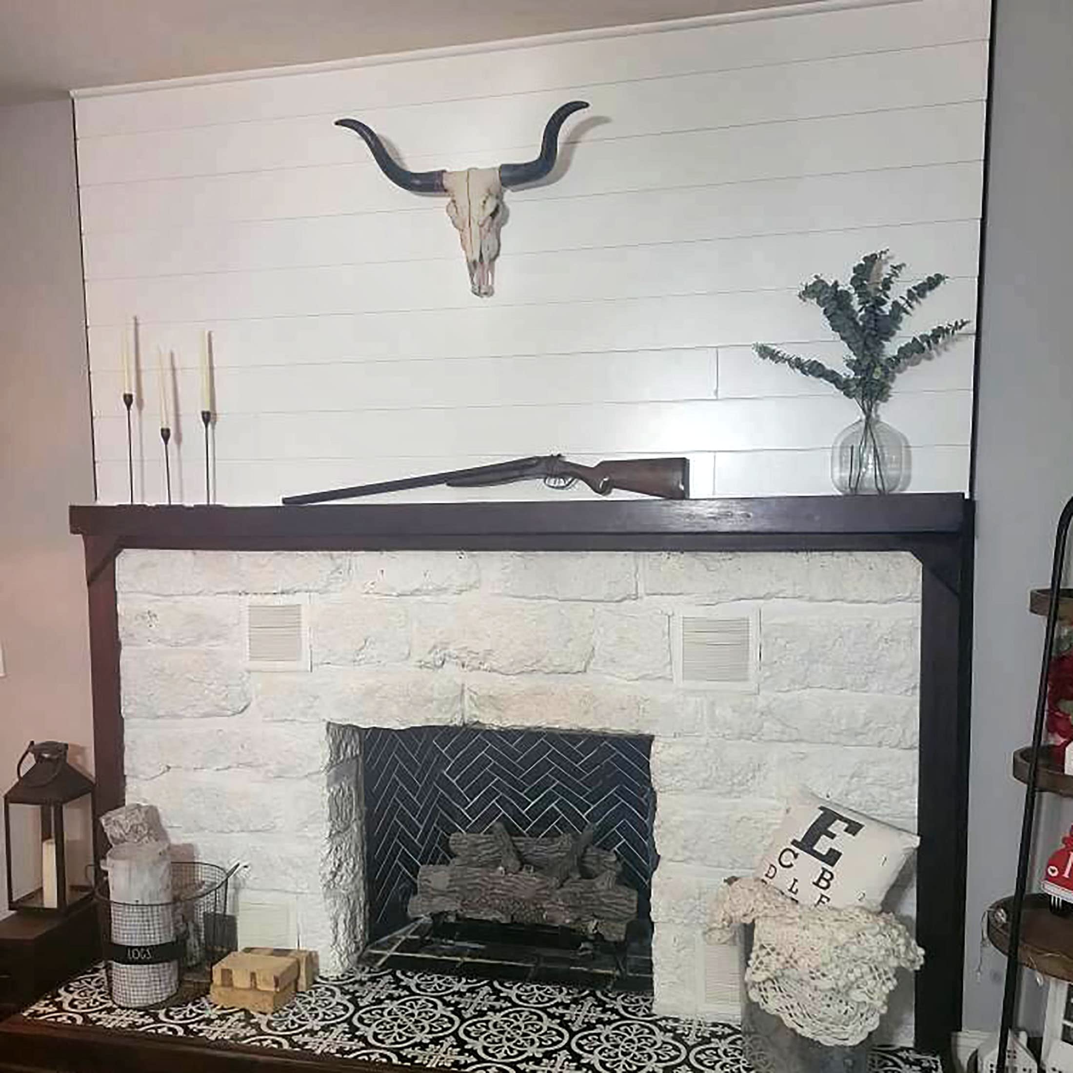 Long Horn Cow Skull Wall Hanging Longhorn Steer