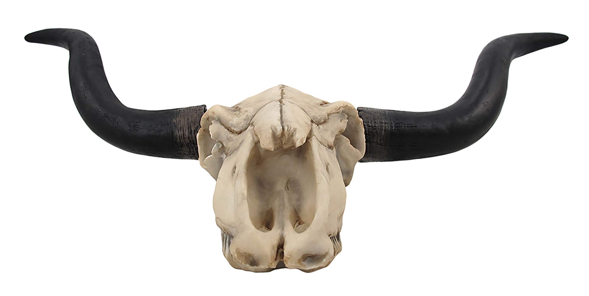 Long Horn Cow Skull Wall Hanging Longhorn Steer