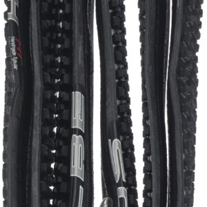 Schwalbe Racing Ralph Snake Skin Tubeless Ready Pace star Folding (26x2.25-Inch)