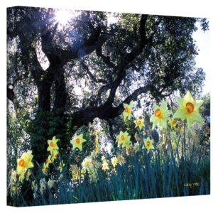 artwall daffodils and the oak gallery wrapped canvas by kathy yates, 24 by 36-inch