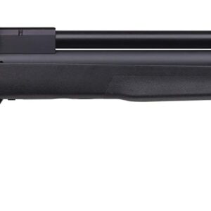 Benjamin Marauder BP2264S .22-Caliber Pellet PCP Hunting Air Rifle