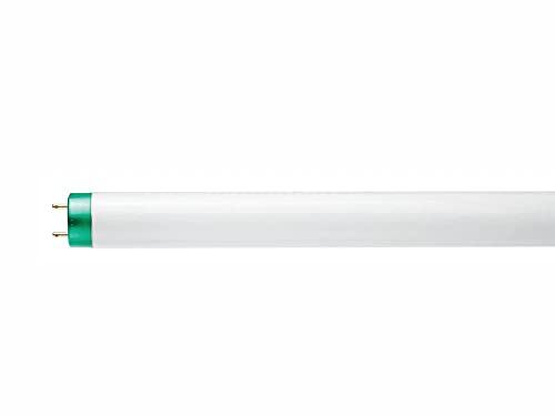 PHILIPS 17W 24in T8 Bright White Fluorescent Tube