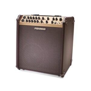 fishman loudbox performer 180w acoustic instrument amplifier