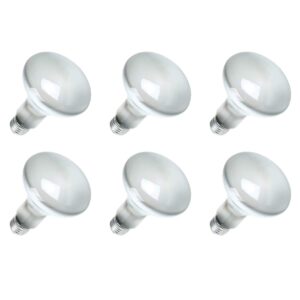 sylvania 15160-6 120-volt 65-watt flood lamp bulbs (6 pack)