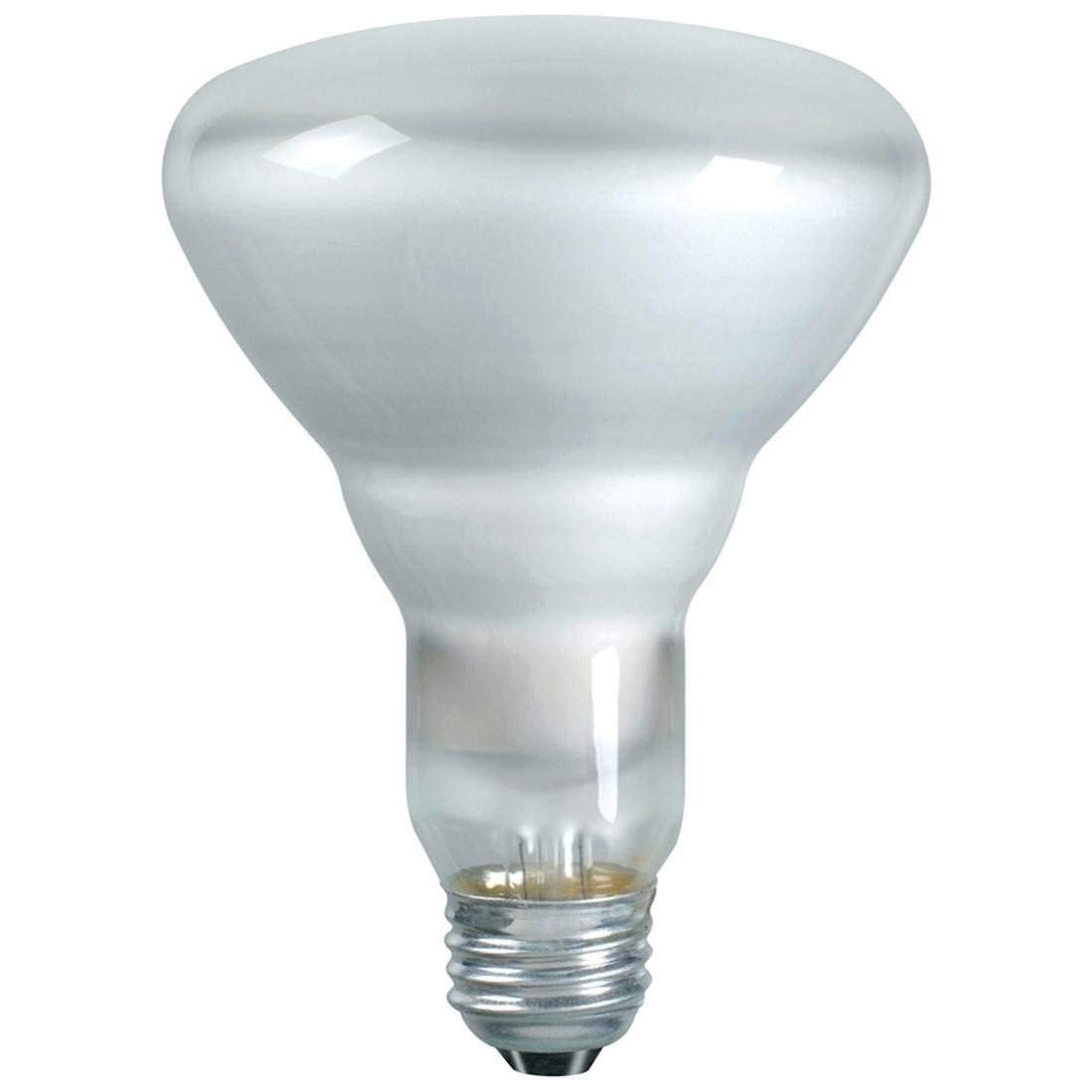 Sylvania 15160-6 120-Volt 65-Watt Flood Lamp Bulbs (6 Pack)