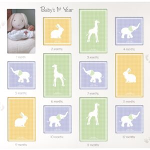 Malden International Designs Baby's 1st Year Wall Collage Picture Frame, 12 Option, 6-4x6 & 6-4x4, White