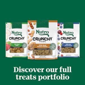 Nutro Crunchy Dog Treats With Real Apple, 10 oz. Bag