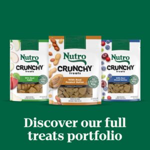 Nutro Crunchy Dog Treats With Real Apple, 10 oz. Bag