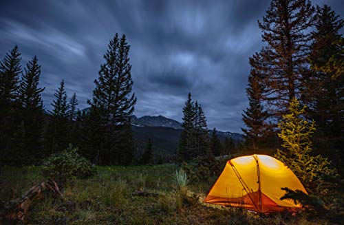 ALPS Mountaineering Aries 2-Person Tent, Copper/Rust