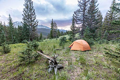 ALPS Mountaineering Aries 2-Person Tent, Copper/Rust