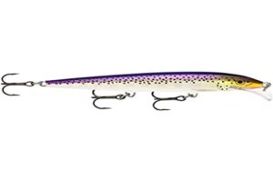 rapala scatter rap minnow 11 purpledescent