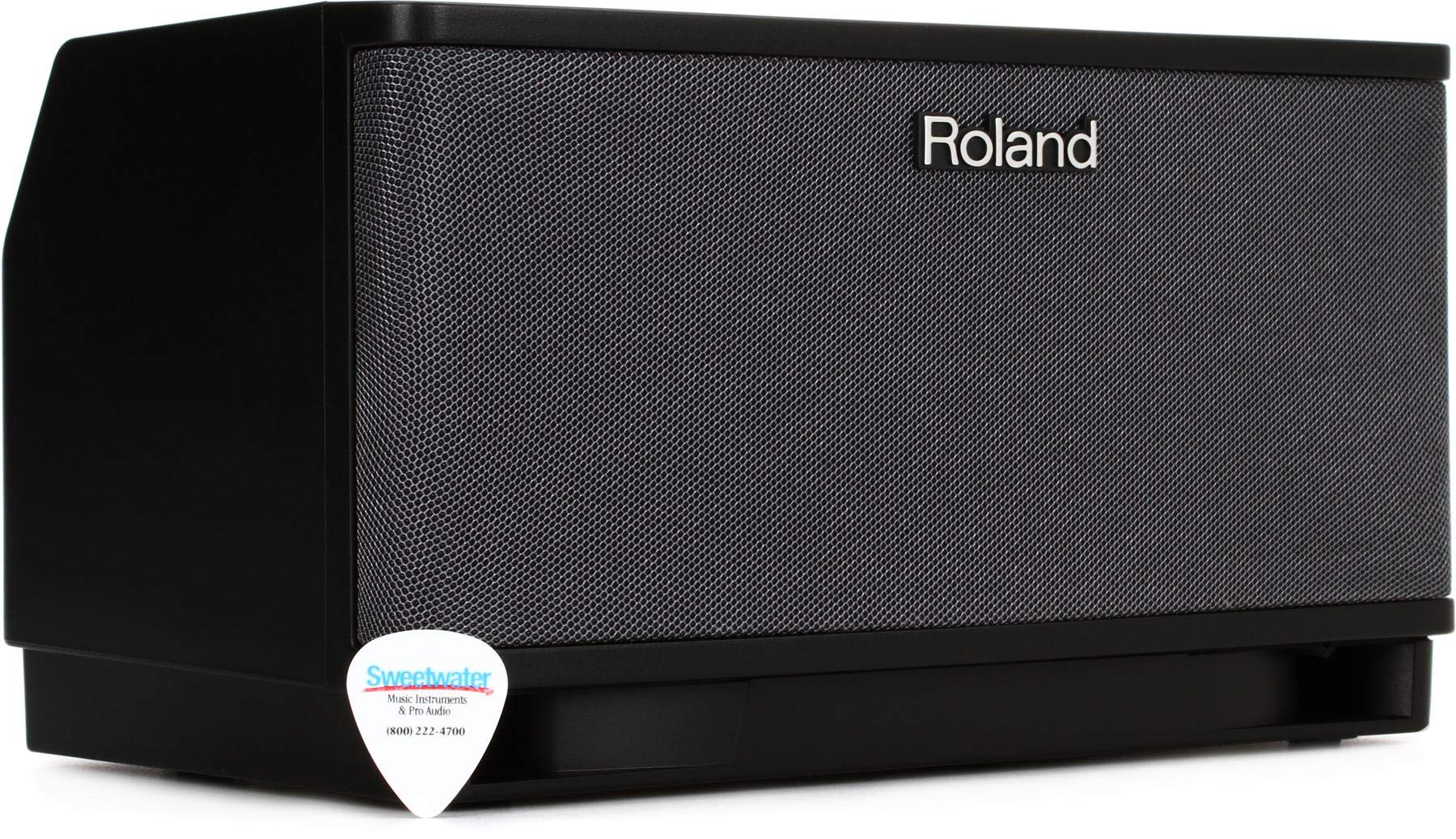 Roland CUBE-LT Lite Tabletop Monitor Amplifier, Black