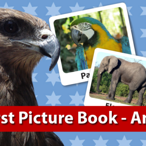 My First Picture Book Animals