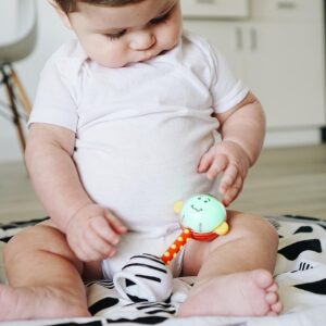 SmartNoggin NogginStik Developmental Light-Up Rattle for Infants up to 12 months