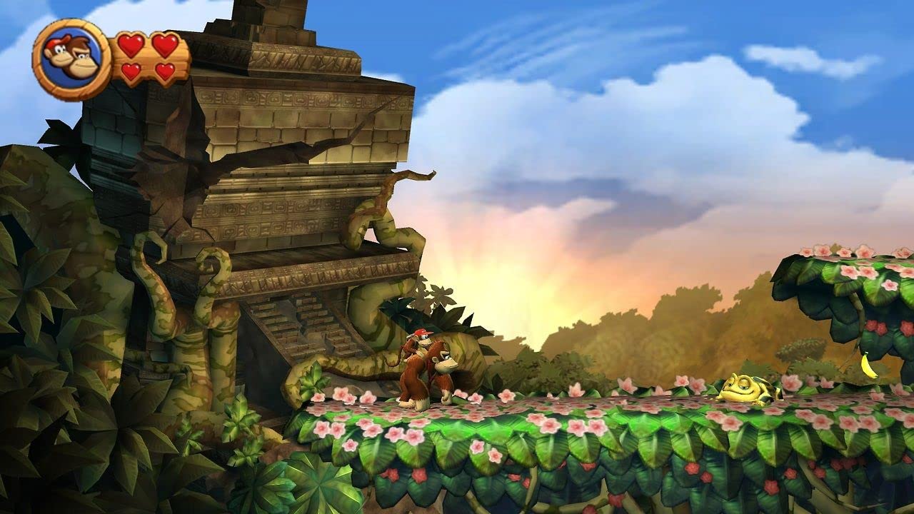 Donkey Kong Country Returns 3D