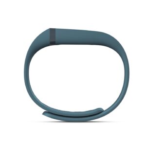 Fitbit Flex FB401SL-CAN Activit sans fil + Sommeil Ardoise Bracelet