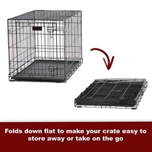 MidWest Homes for Pets Ultima Pro Series 48" Dog Crate | Extra-Strong Double Door Folding Metal Dog Crate w/Divider Panel, Floor Protecting "Roller Feet" & Leak-Proof Plastic Pan