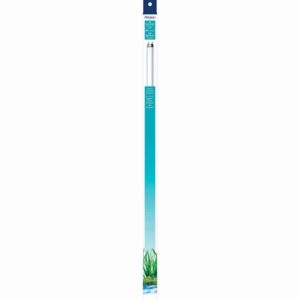 aqueon full spectrum daylight t8 fluorescent bulb, 24", 17 watts