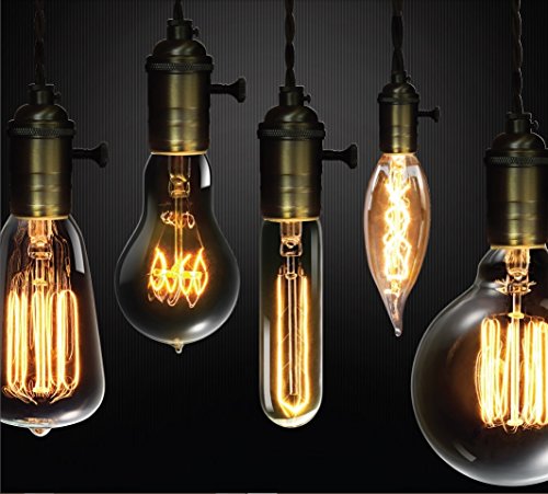 Globe Electric 01321 60W Vintage Edison S60 Squirrel Cage Incandescent Filament Light Bulb, E26 Base, 220 Lumens, 2200 Kelvin, Edison Bulbs, Vintage Light Bulbs, E26 Light Bulb, Home Improvement