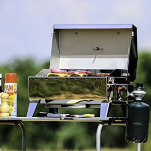 Camco Grill-Stow N Go 125 Portable Propane Gas Grill with Push Button Igniter, Temperature Gauge, and Storage Bag for RV, Tailgating, and Camping